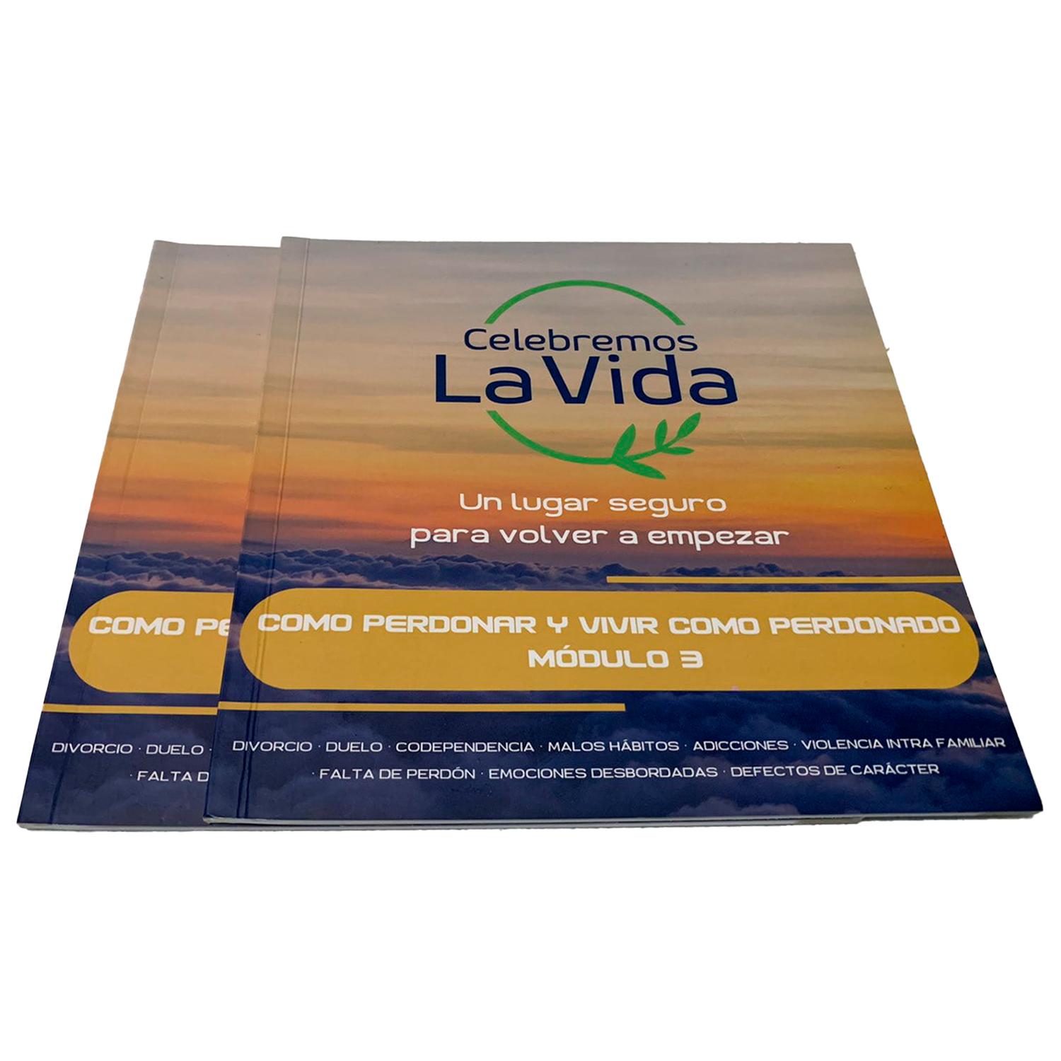 Libro Módulo 3 – EditorialIntegral