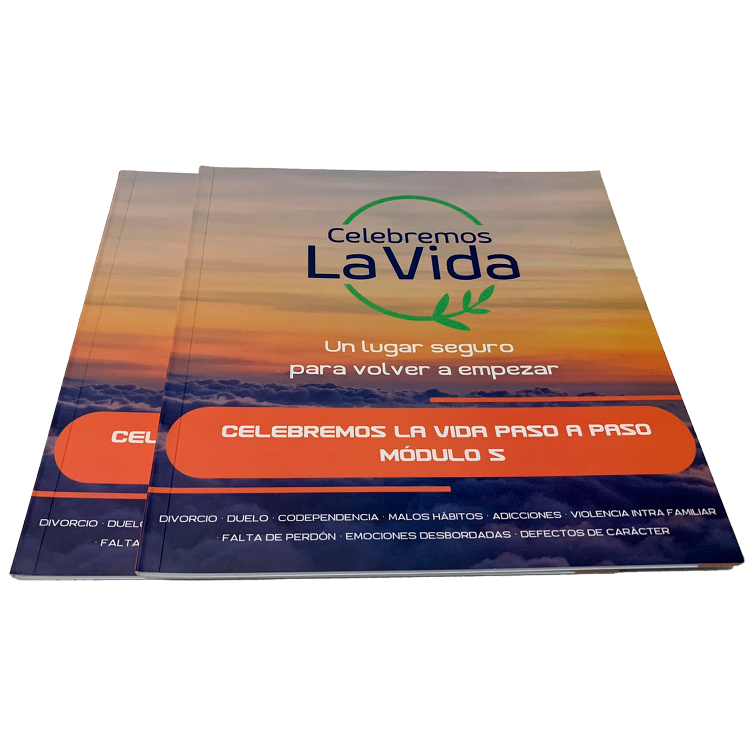 Libro Módulo 5 – EditorialIntegral