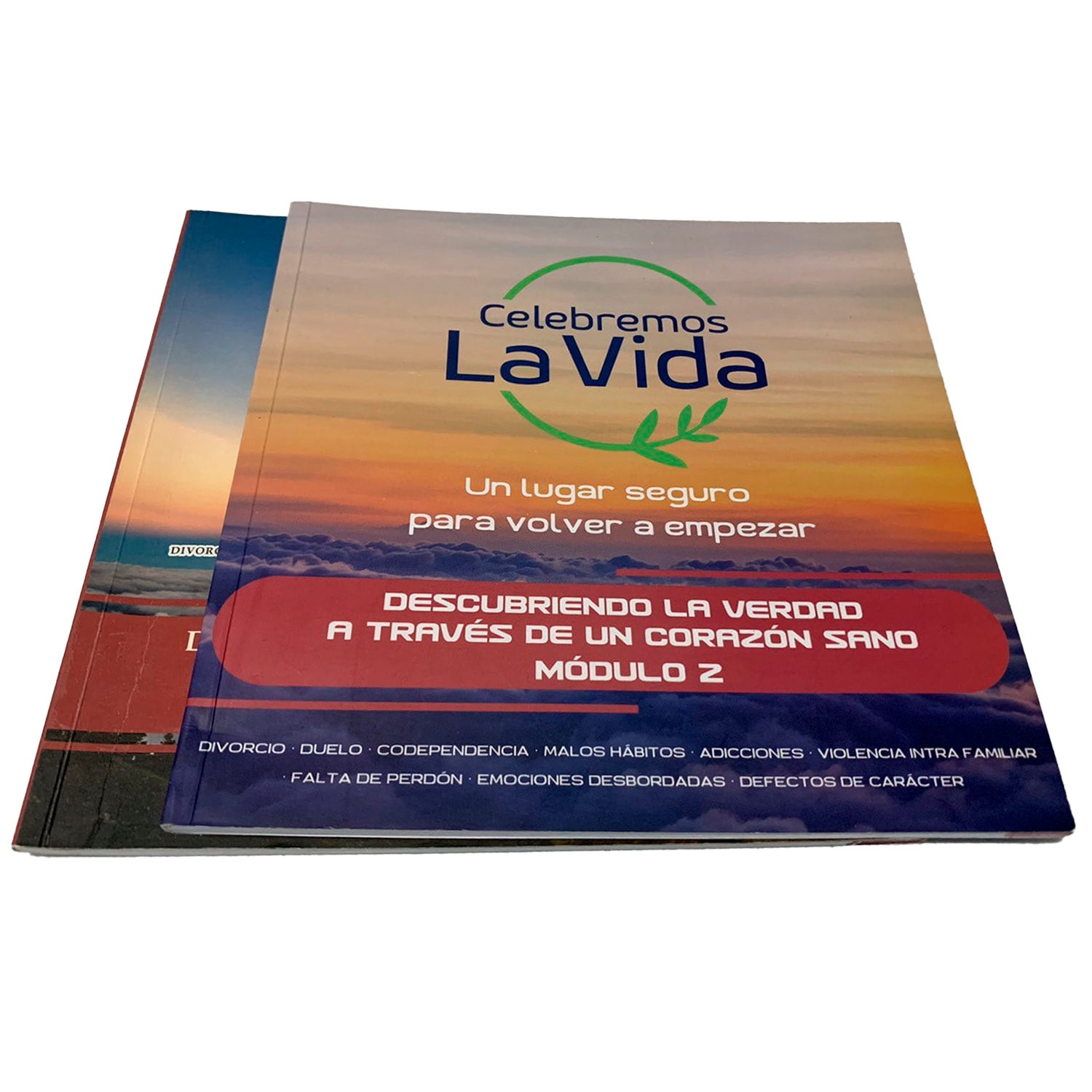 Libros Celebremos la Vida – EditorialIntegral