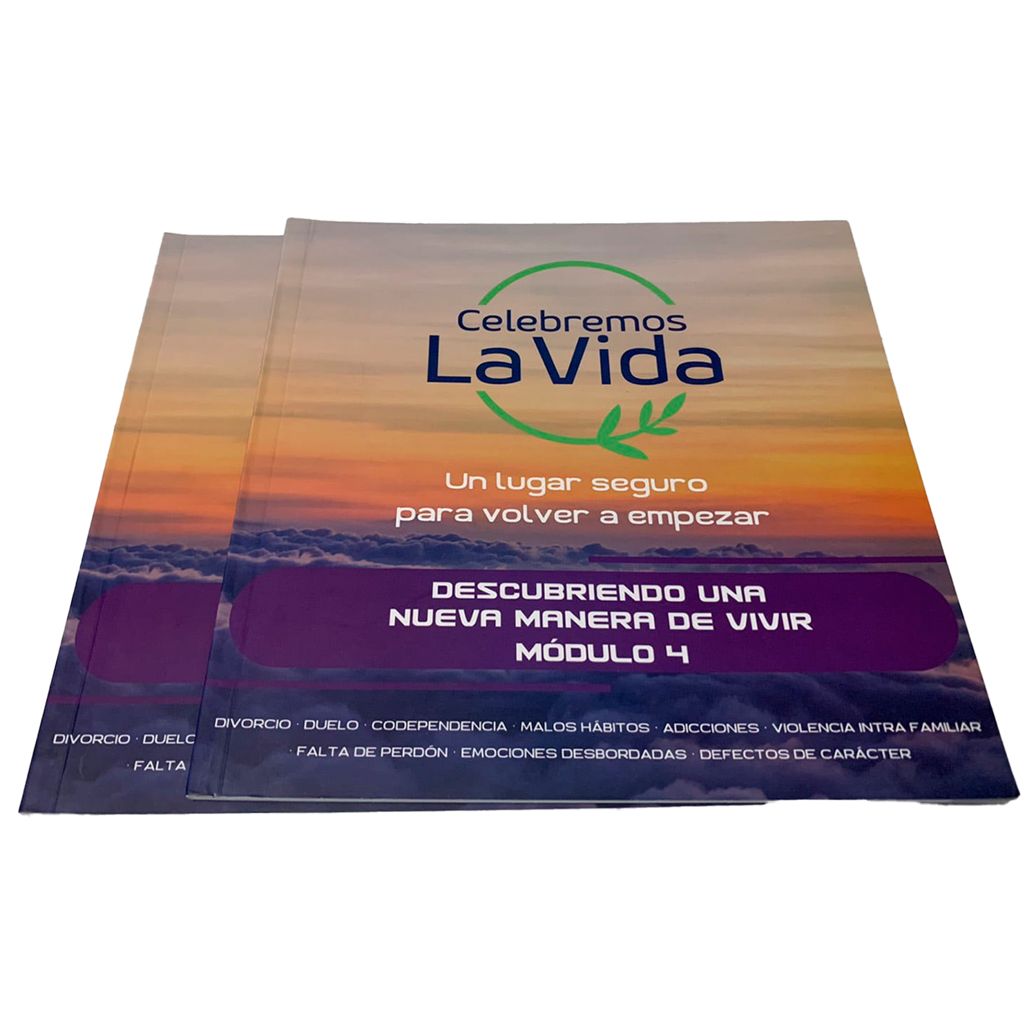 Libro Módulo 4 – EditorialIntegral